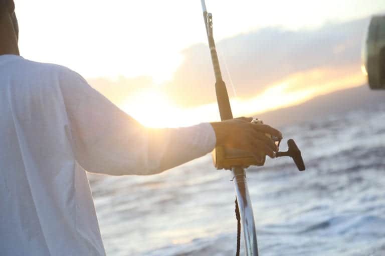 Aruba Fishing Seasons | Deep Sea & Sport Fishing Seasons in Aruba